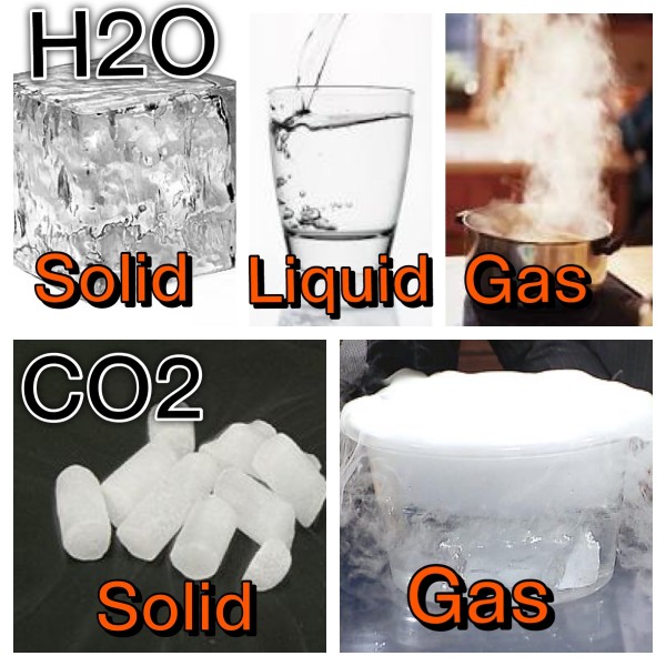 Jump! Into Science - Dry Ice Bubble Experiment